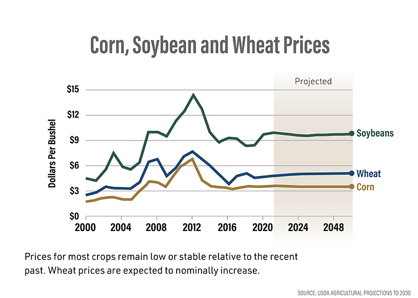 The Long View Grain Market Expectations To 2030 Agweb